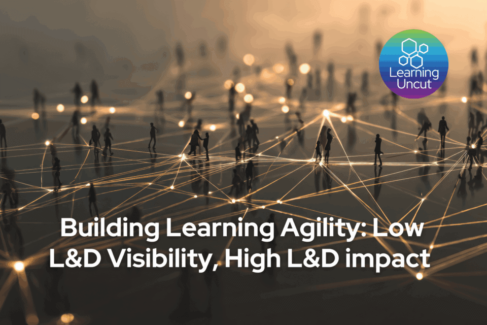 Building Learning Agility: Low L&D Visibility, High L&D impact ...