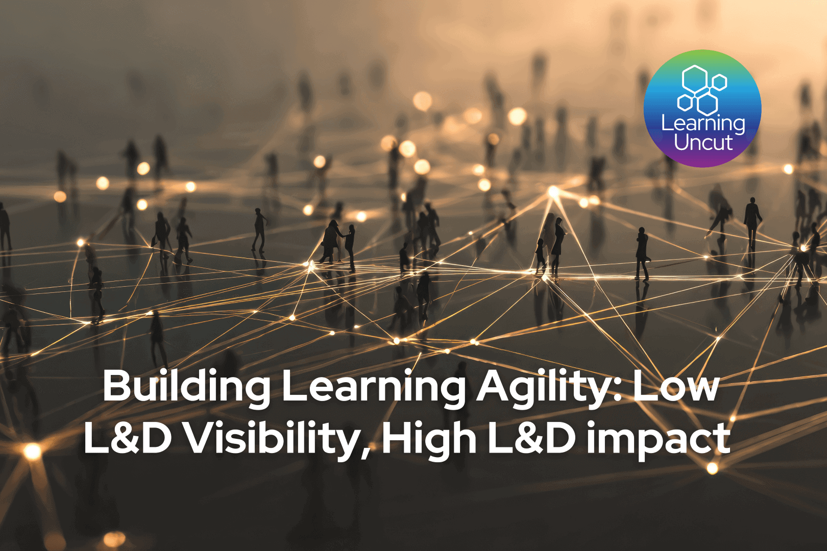 Building Learning Agility: Low L&D Visibility, High L&D impact ...