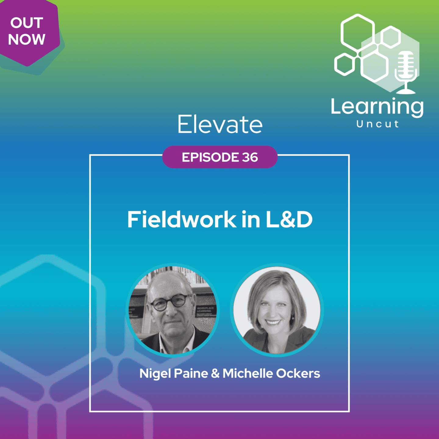 Learning Uncut Podcast | Learning & Development Insights