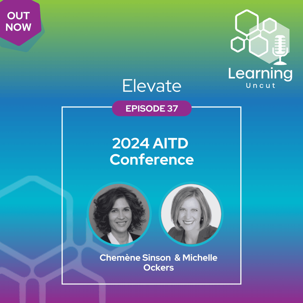 Learning Uncut Podcast | Learning & Development Insights