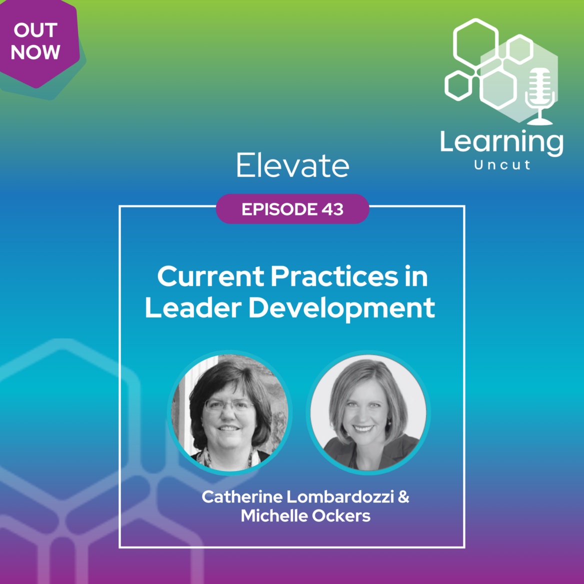 Learning Uncut Podcast | Learning & Development Insights